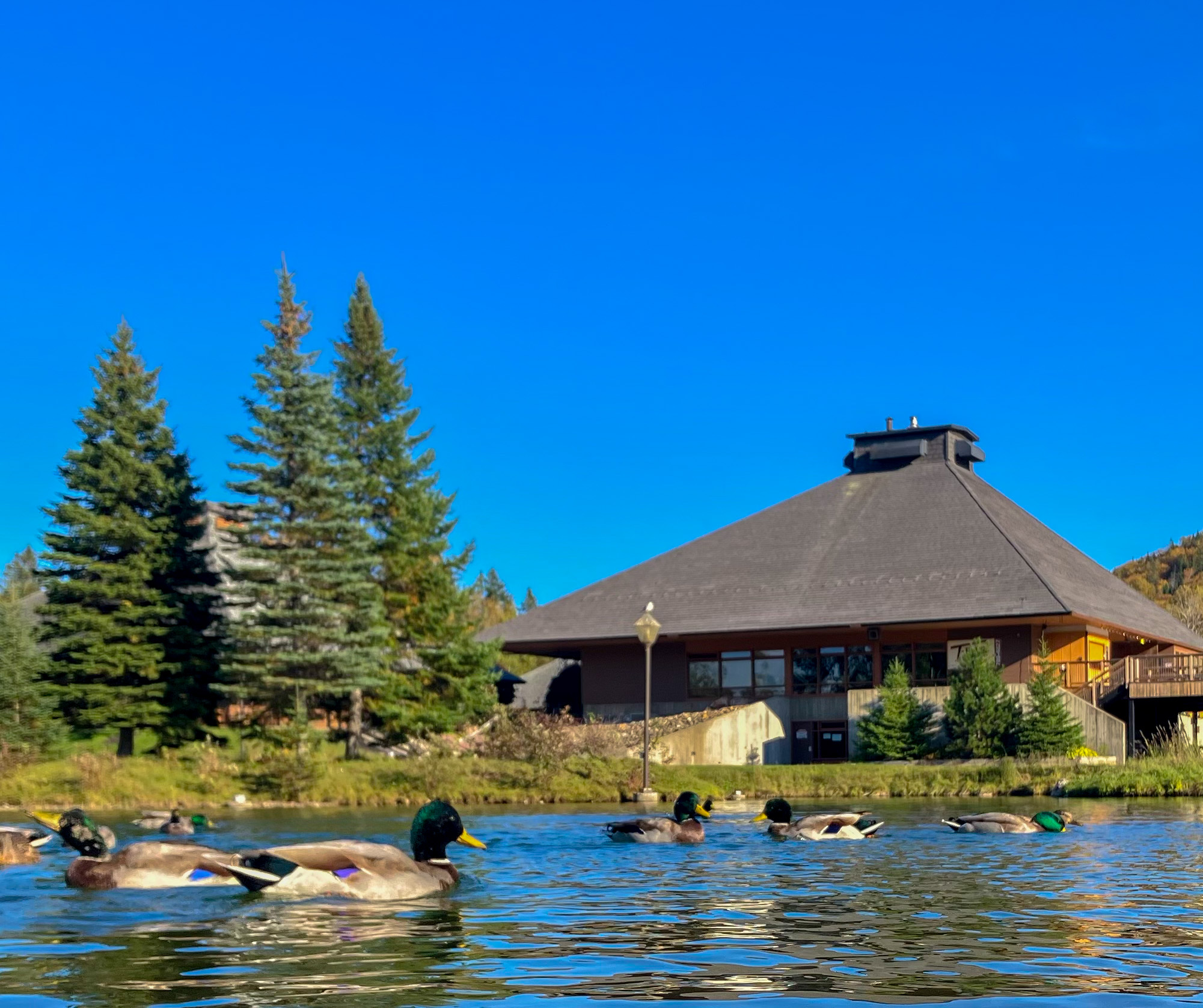 Sugarloaf Provincial Park / #ExploreNB / Tourism New Brunswick