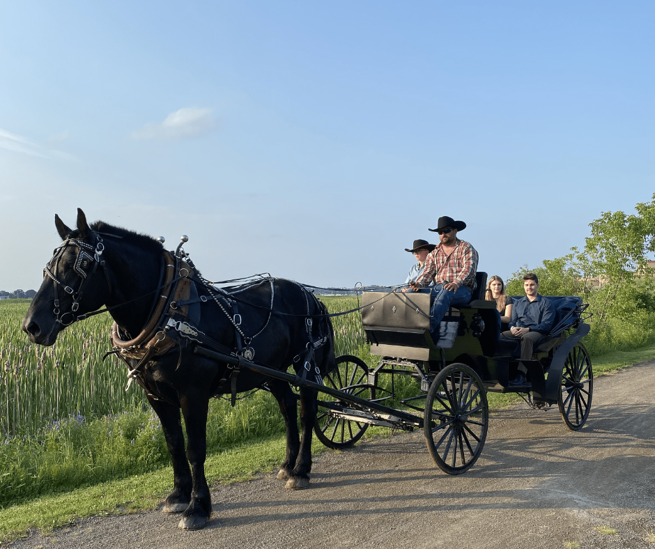 Riverfront Trail Carriage Rides / #ExploreNB / Tourism New Brunswick