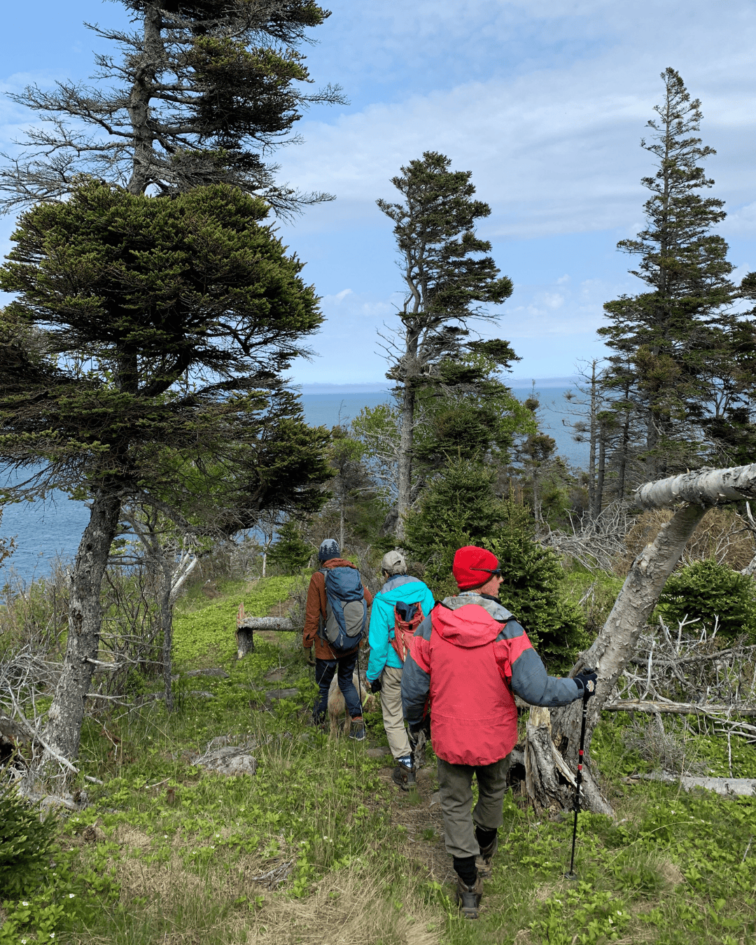 Grand Manan Nature Preserves - Red Trail System / #ExploreNB / Tourism ...