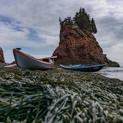 Kayaking in New Brunswick: two guides’ favourite spots and smart tips ...