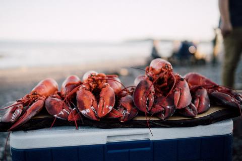 Unique Dining Experiences in New Brunswick / #ExploreNB / Tourism New ...