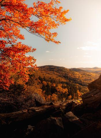 New Brunswick’s Best Hikes for Fall Colours / #ExploreNB / Tourism New ...