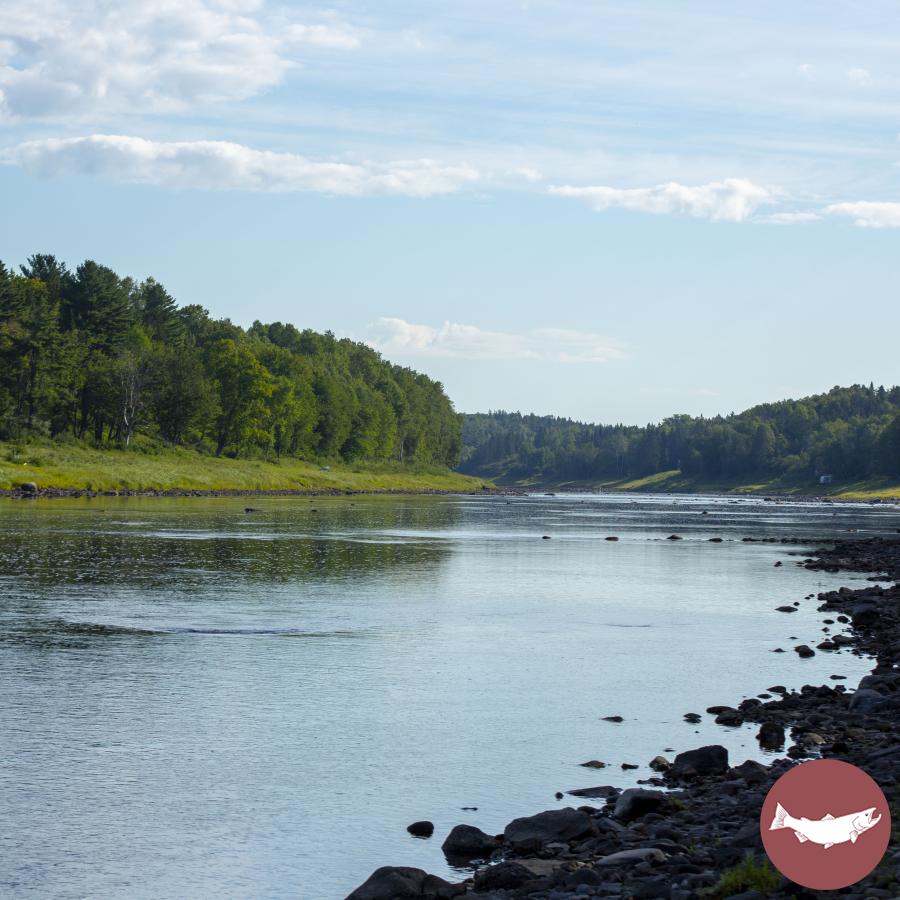 Miramichi River Route / #ExploreNB / Tourism New Brunswick