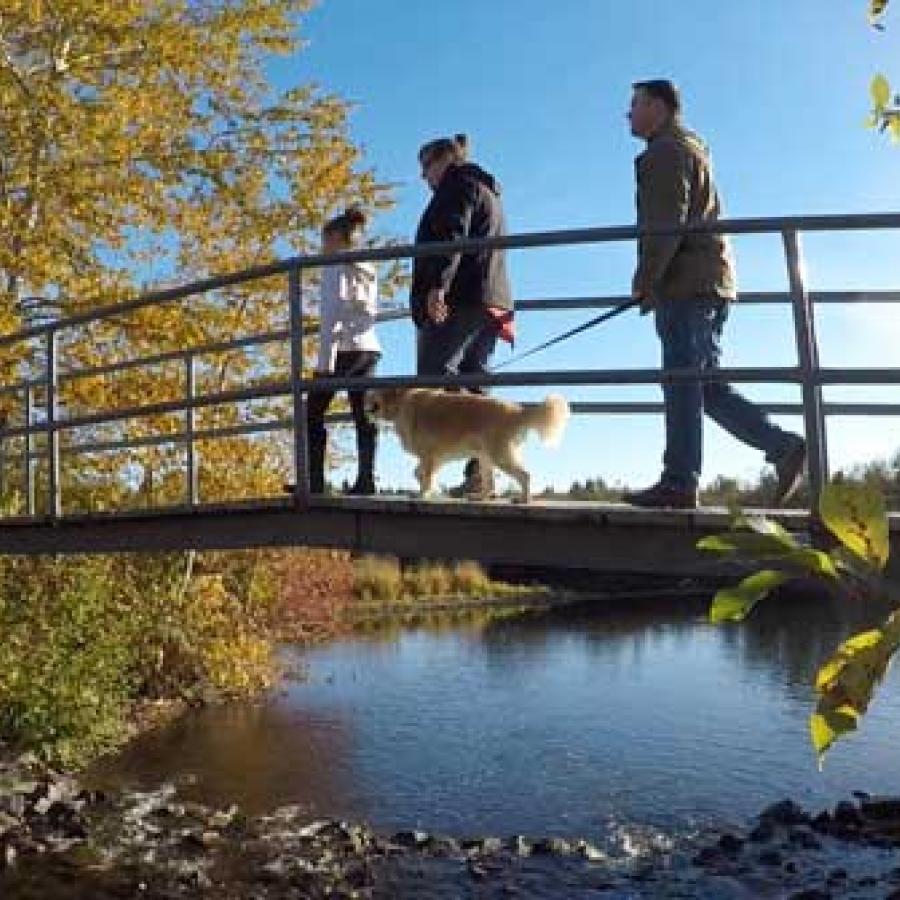 Restigouche River / #ExploreNB / Tourism New Brunswick